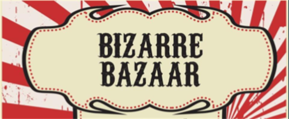 Bizarre Bazaar Los Alamos County Visit
